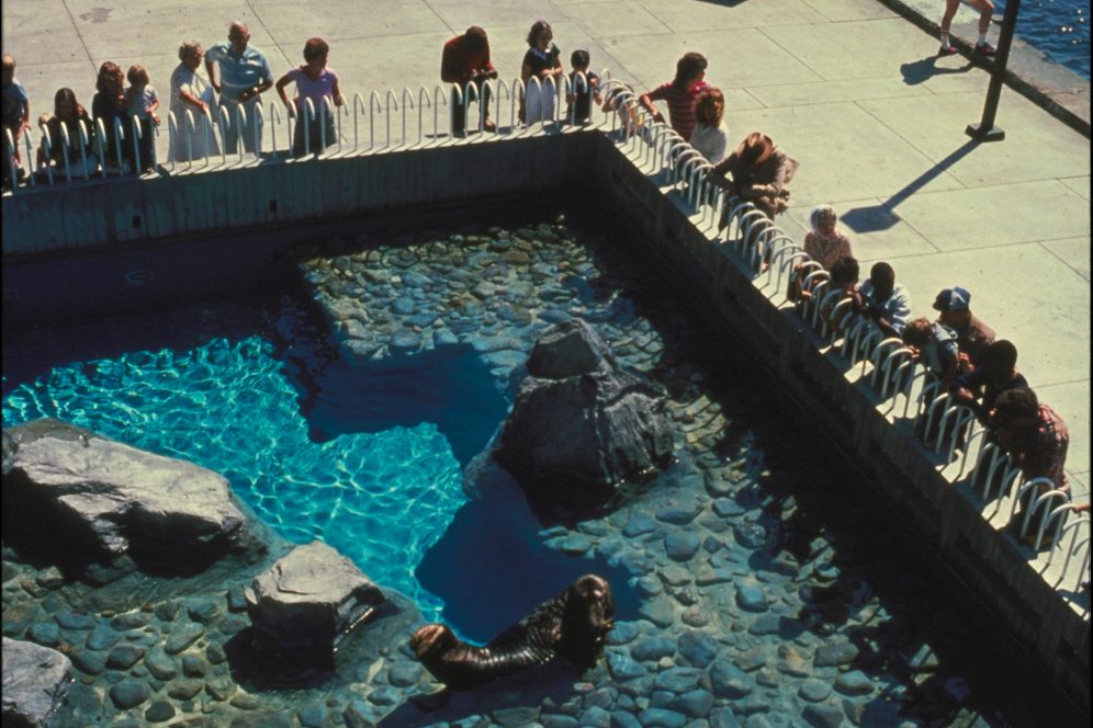 National Aquarium - 40th Facts: How Well Do You Know the National Aquarium?