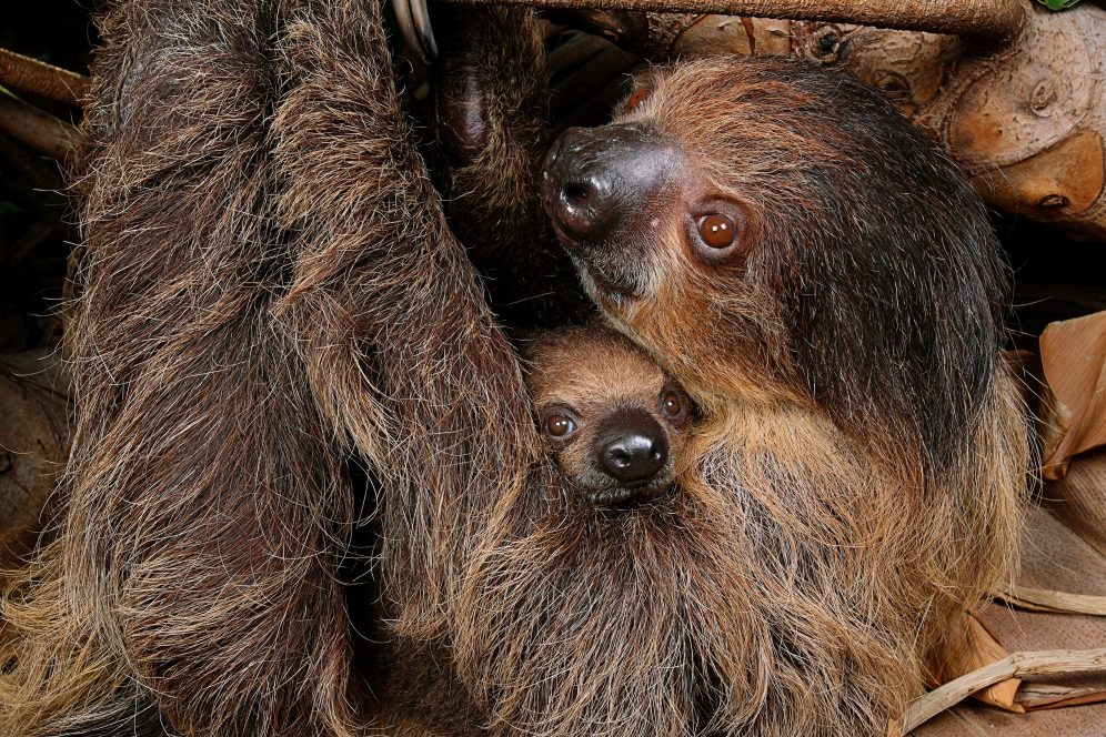 National Aquarium - Watermarks