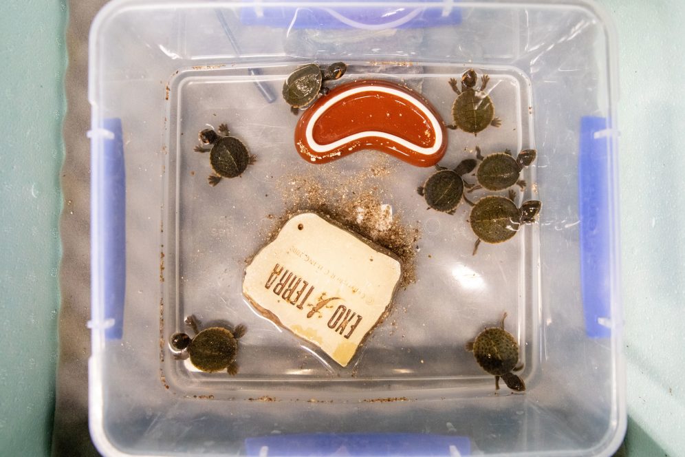 National Aquarium - Red-y For Their Close-Up