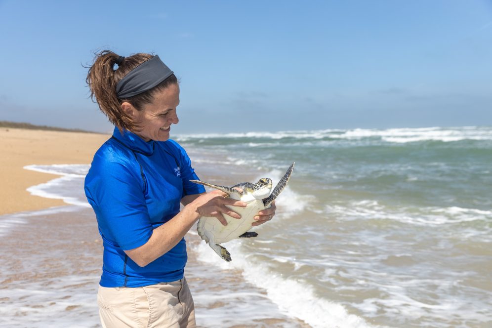 National Aquarium - 2022 Recap: National Aquarium Animal Rescue