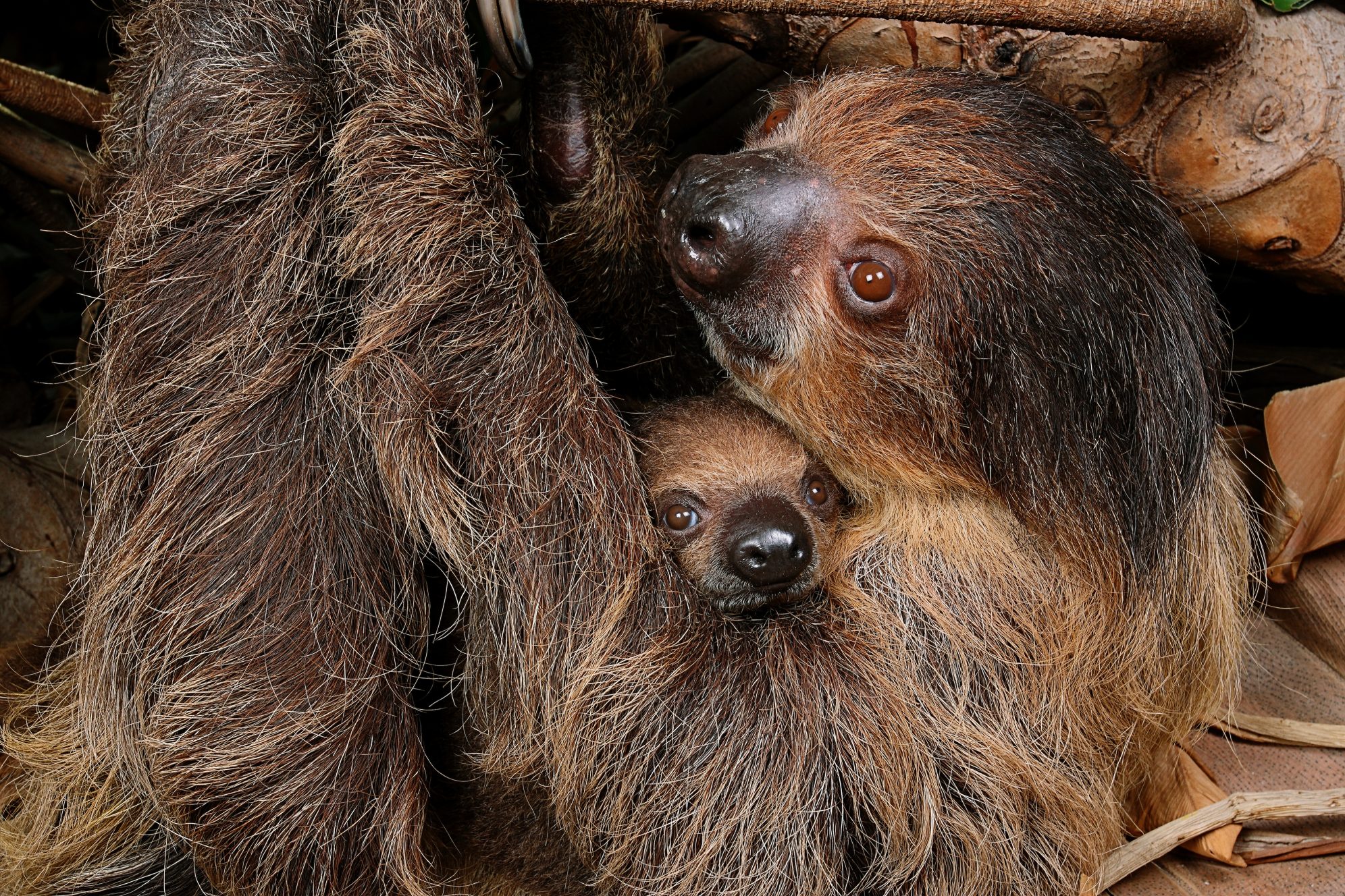 National Aquarium - Watermarks