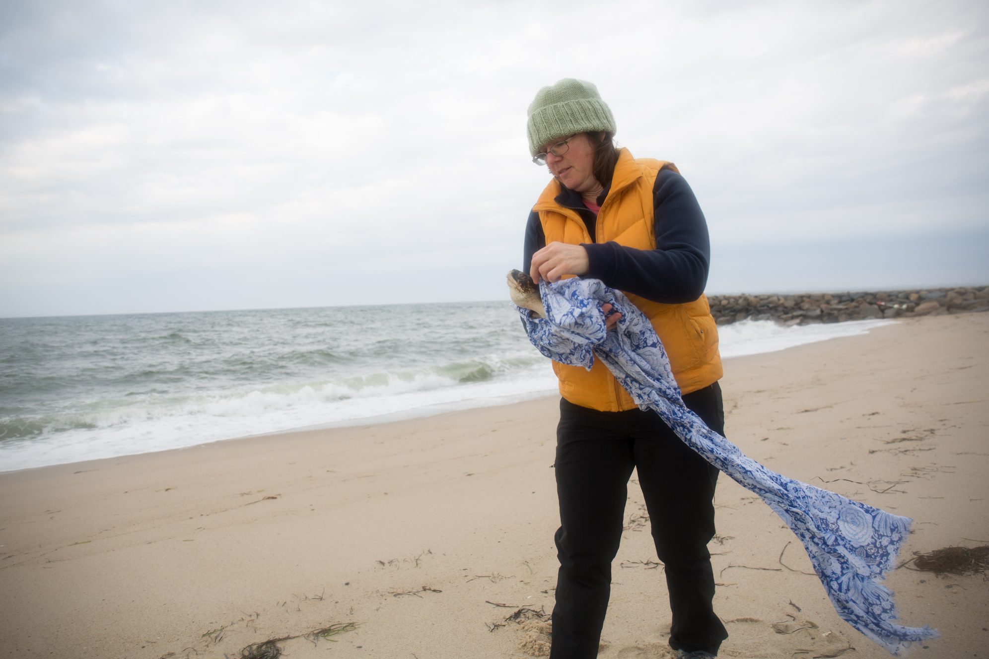 National Aquarium - What is Cold Stunning?