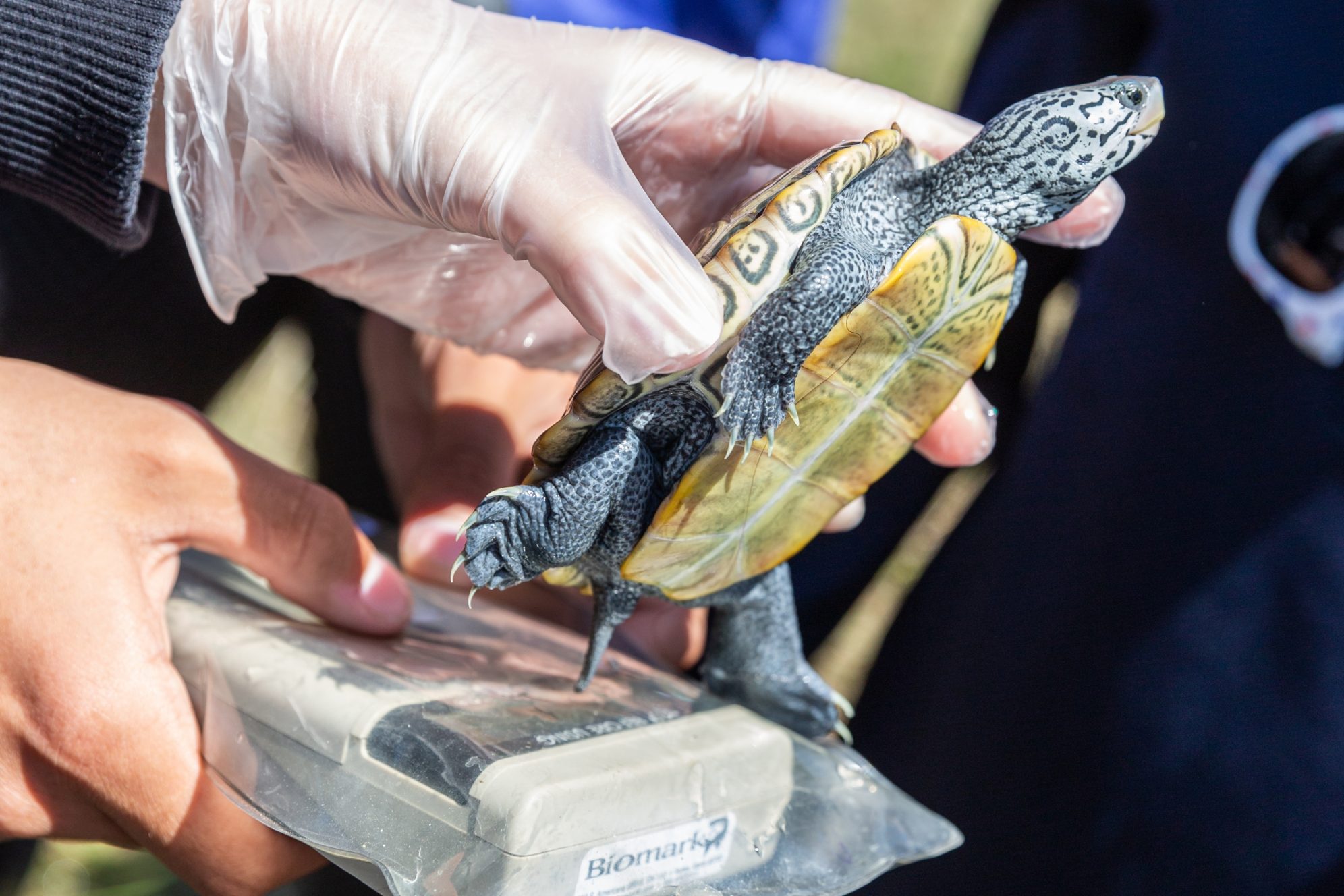 National Aquarium - Connecting Dots: The Science of Tracking Wildlife