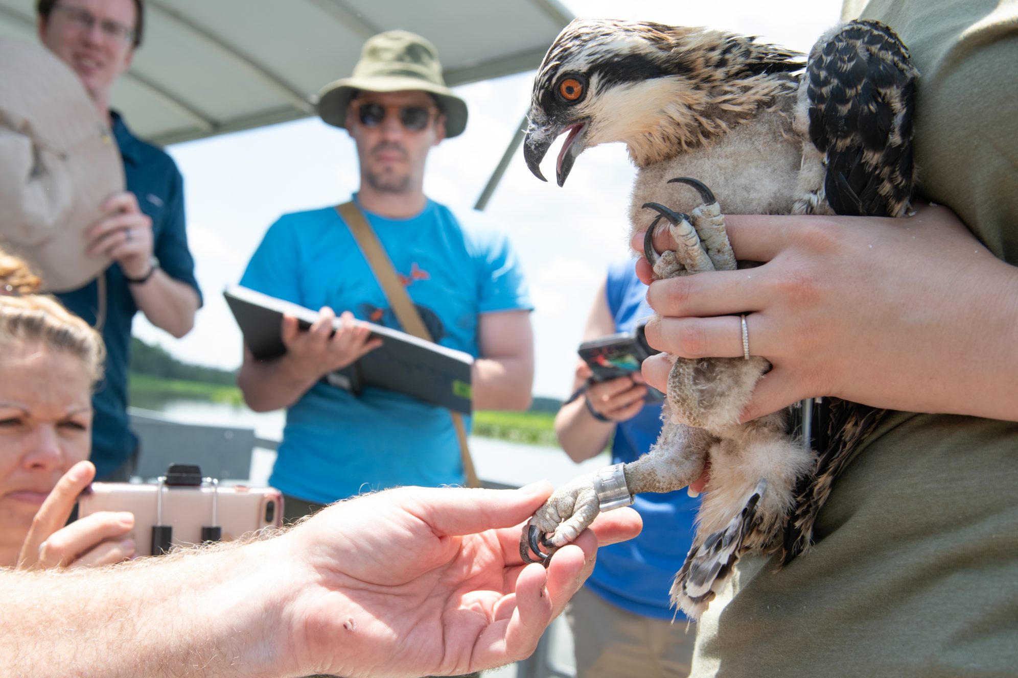 National Aquarium - Connecting Dots: The Science of Tracking Wildlife