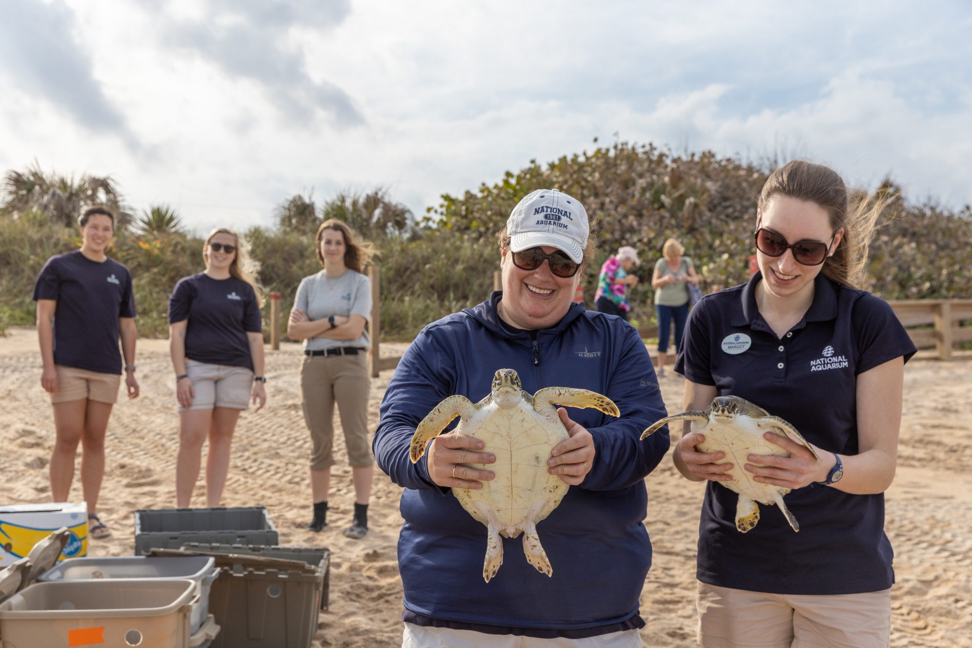 National Aquarium - 2020 Recap: Sea Turtle Rescue