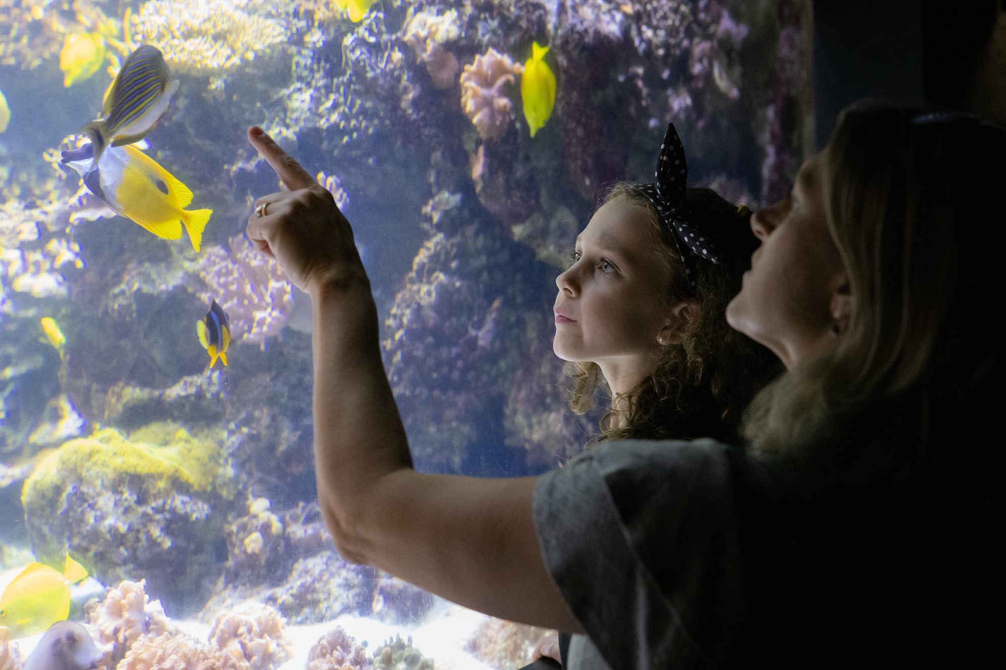 National Aquarium - 2022 Impact Report