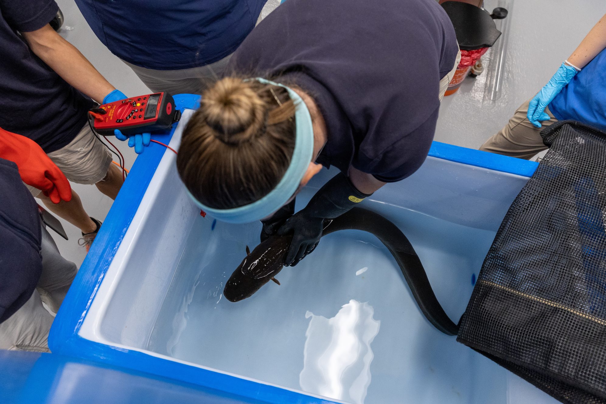National Aquarium - Handling High Voltage