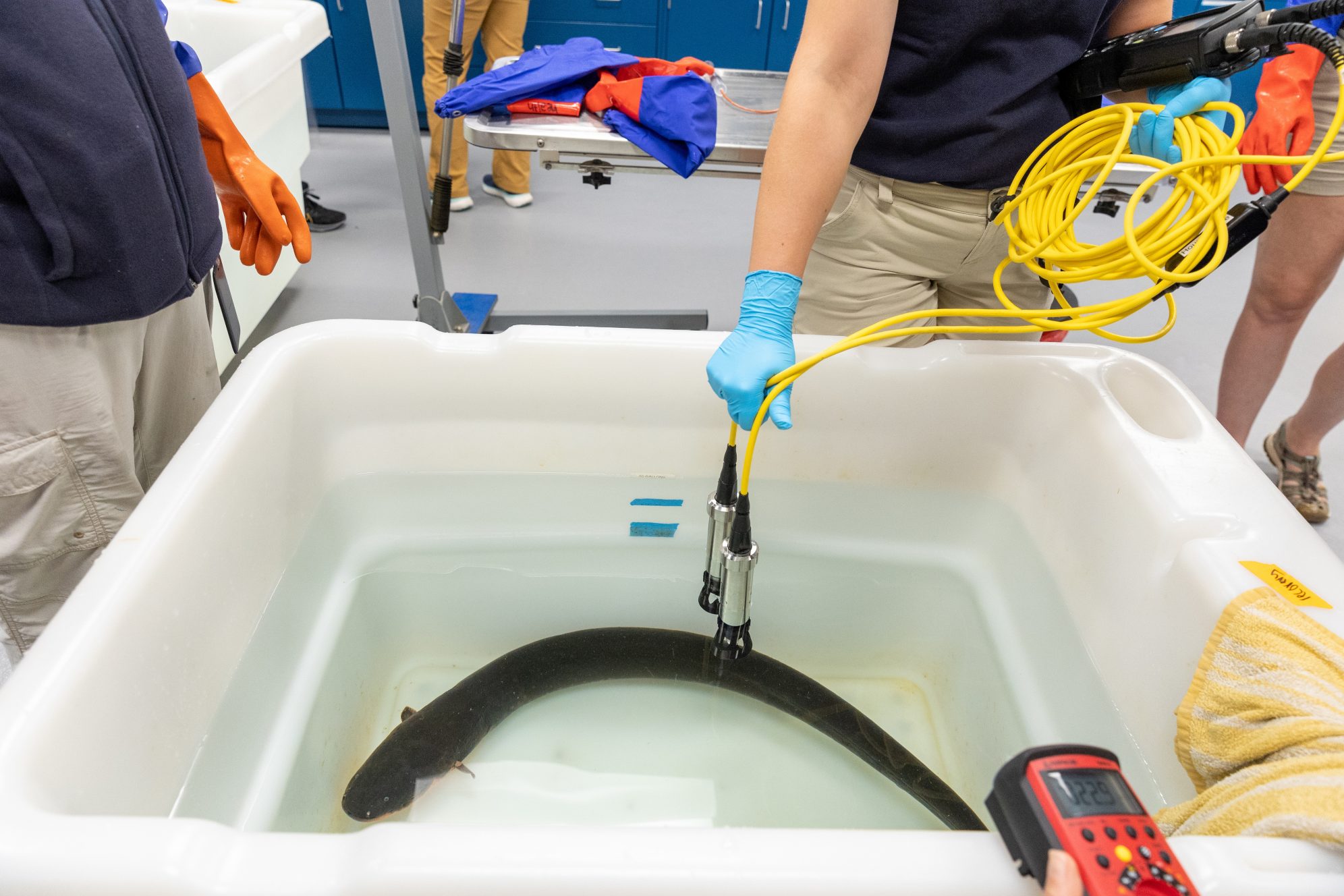 National Aquarium - Handling High Voltage
