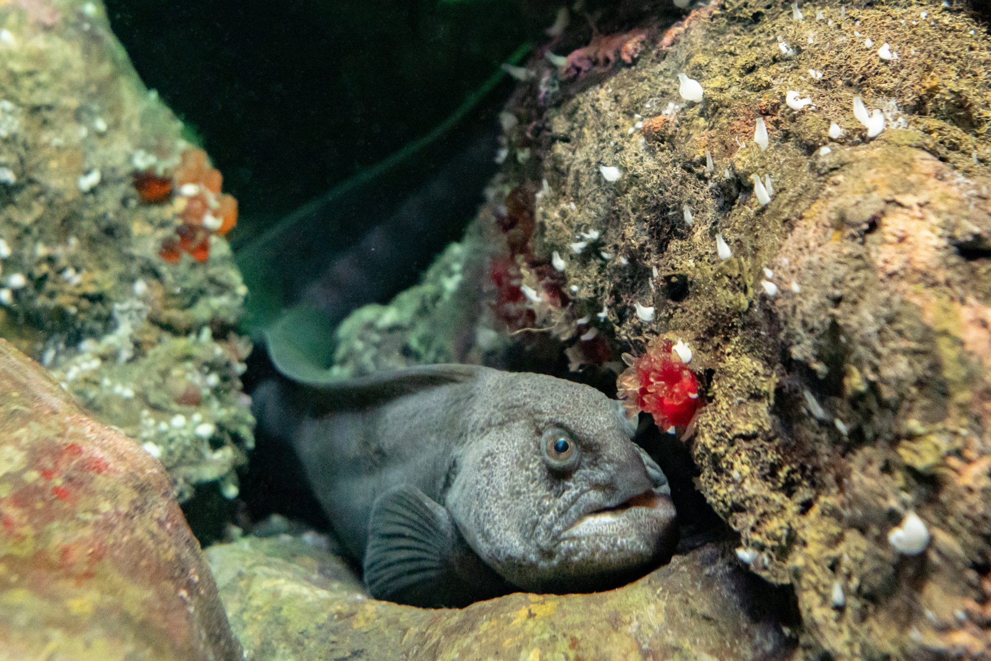 National Aquarium - 2022 Recap: National Aquarium News