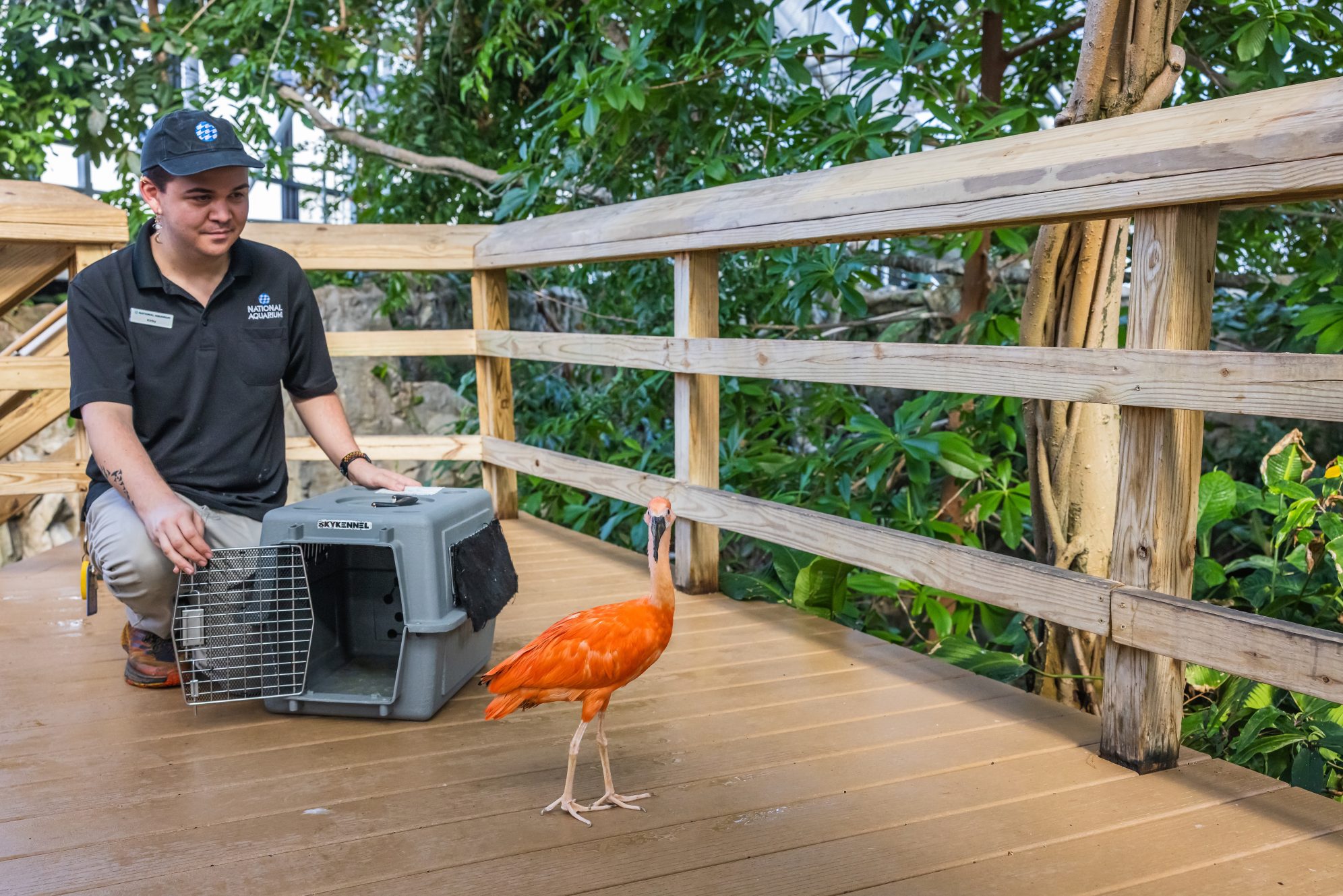 National Aquarium - Things Are Looking Up!