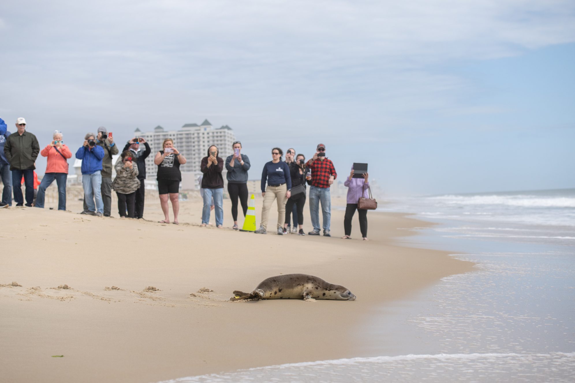 National Aquarium - Watermarks