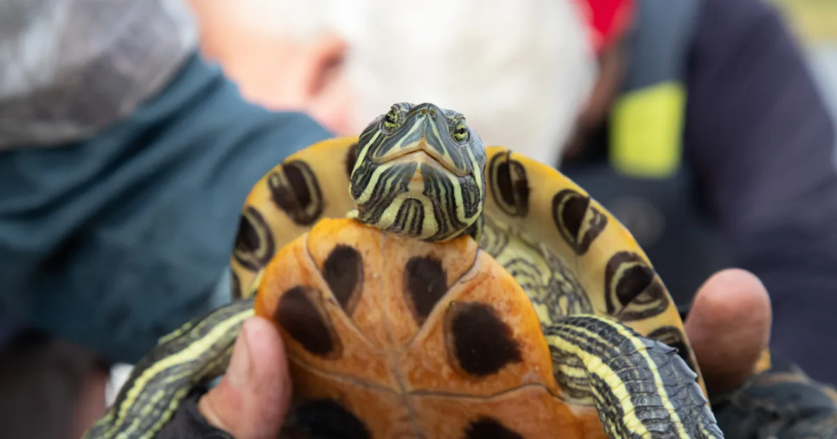National Aquarium - Nearby Nature, Urban Wildlife and "Baltimore's Best ...