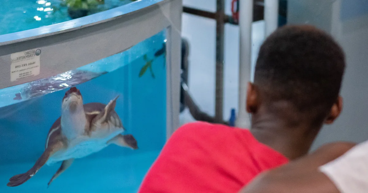 National Aquarium - Animal Care and Rescue Center Tour