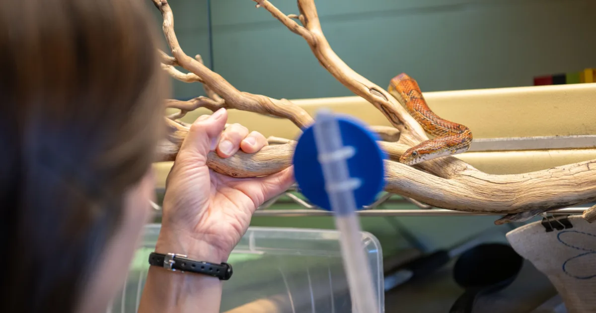 National Aquarium - Keeping It Positive: Target Training