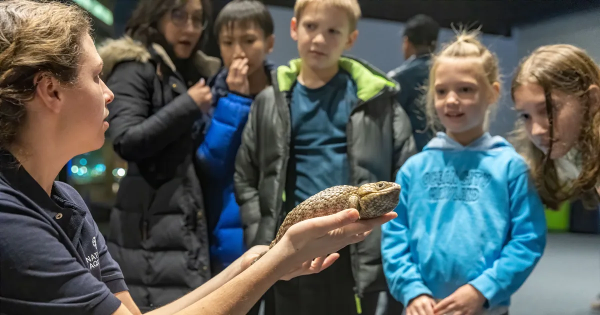 National Aquarium - Animal Encounter