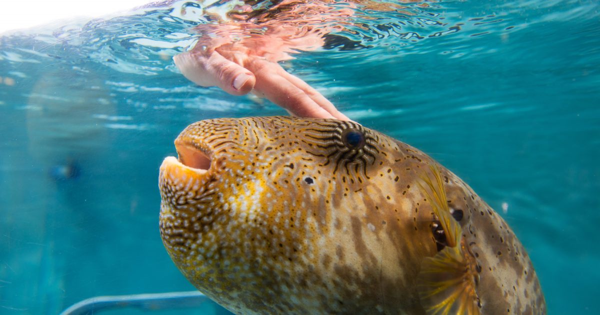 National Aquarium - Animal Care and Rescue Center: All Systems Go