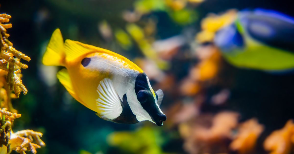 National Aquarium - Explore