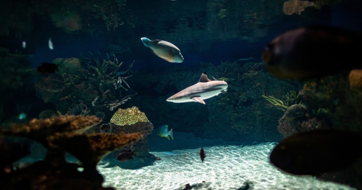 National Aquarium - Views from the National Aquarium