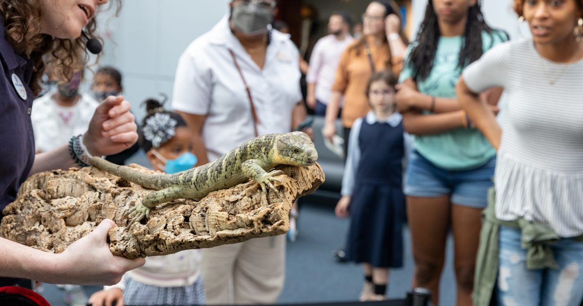 National Aquarium - Improving Welfare Through Animal Behavior