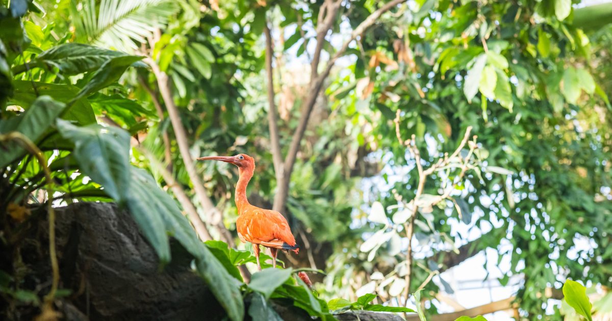 National Aquarium - Things Are Looking Up!