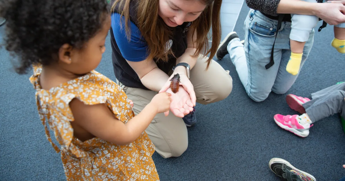 National Aquarium - Critter Chat
