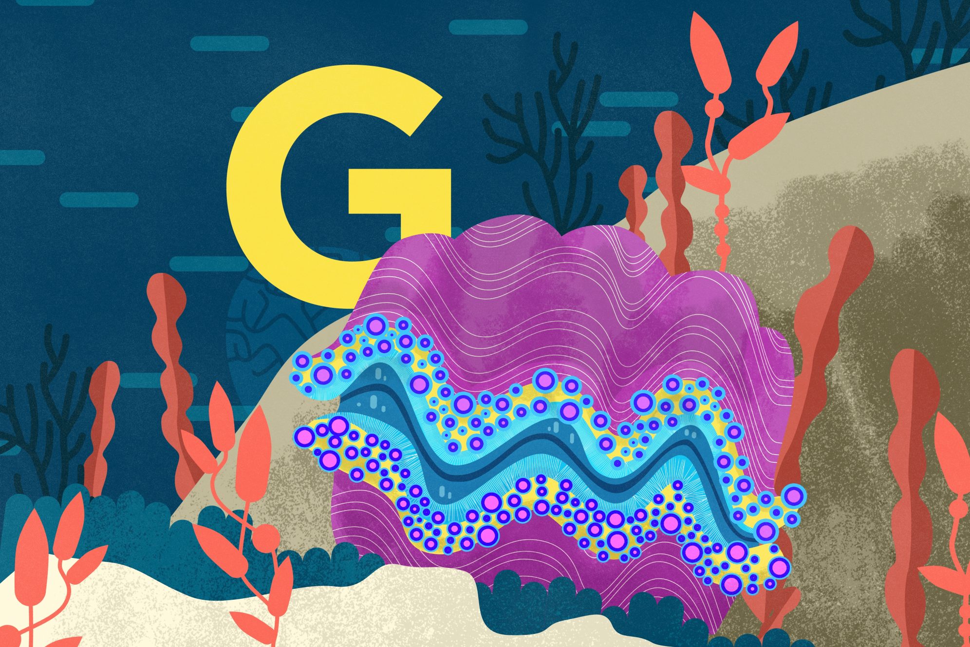 National Aquarium - G is for Giant Clam