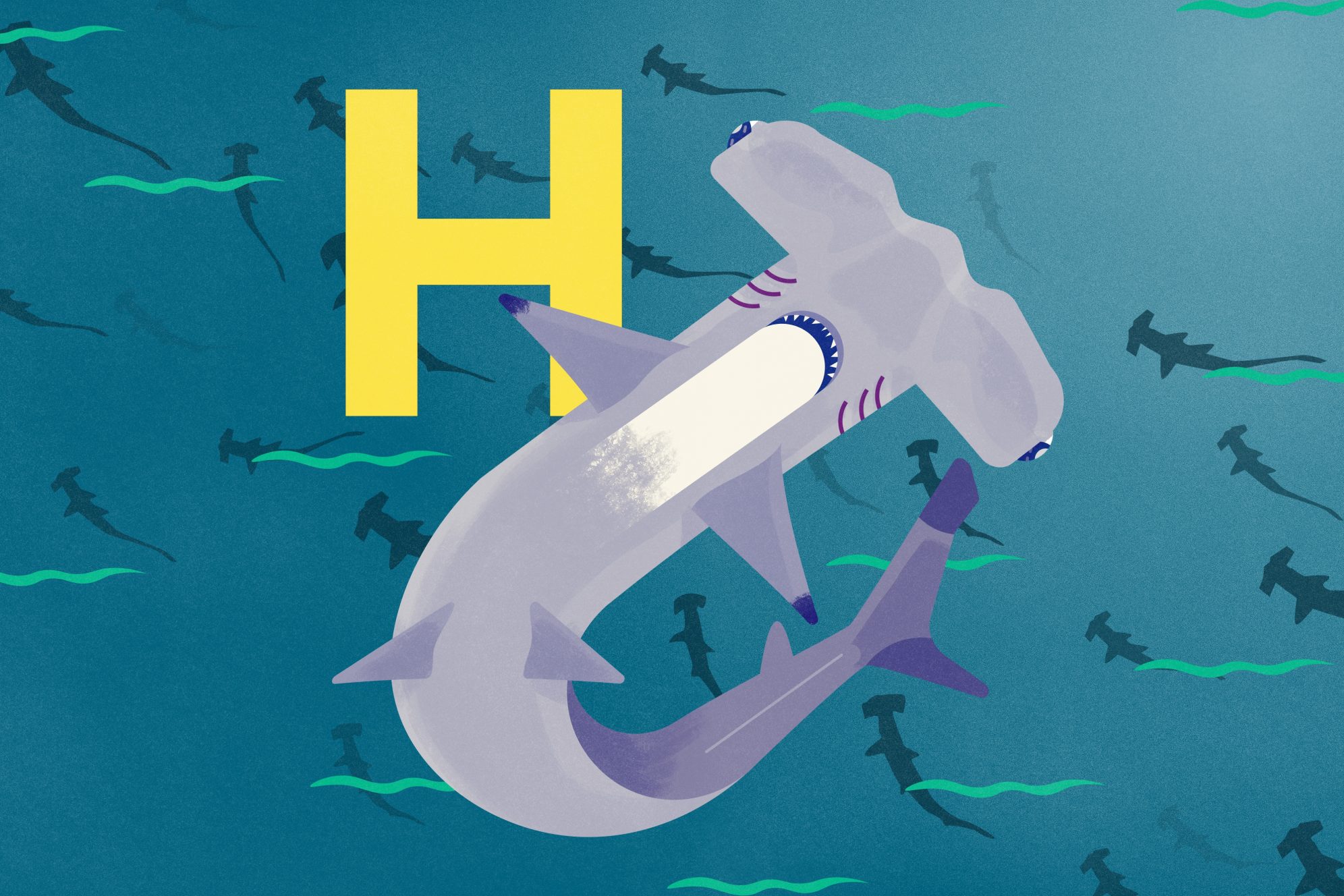 National Aquarium - H is for Hammerhead