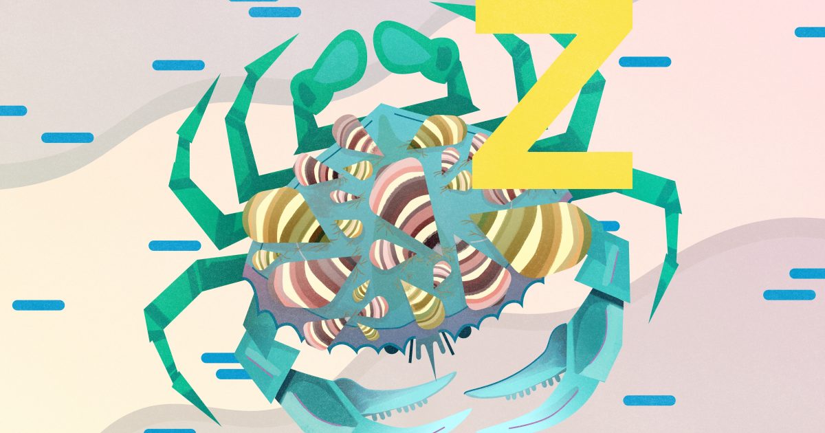 National Aquarium - Z is for Zebra Mussel