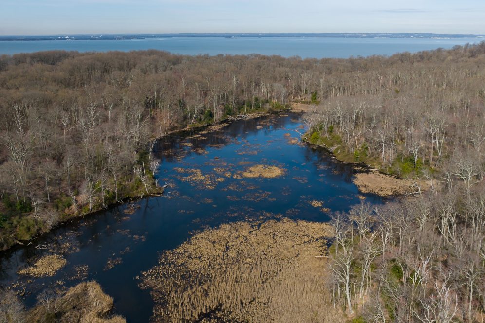 National Aquarium - Our Beautiful Bay
