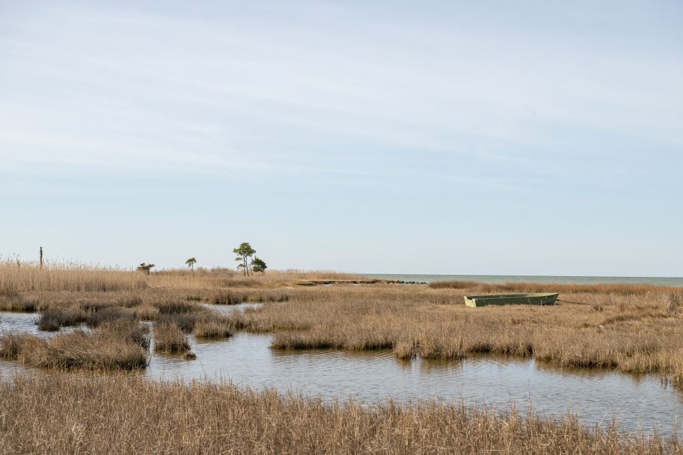 National Aquarium - Our Beautiful Bay