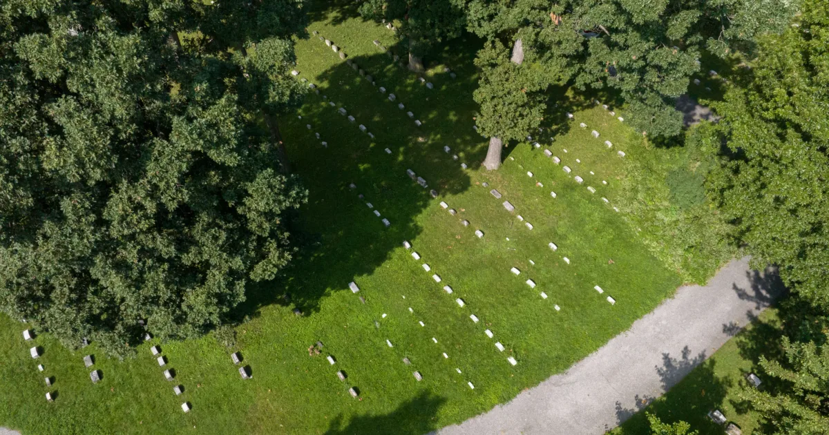 National Aquarium - Secret Cemetery Sanctuaries