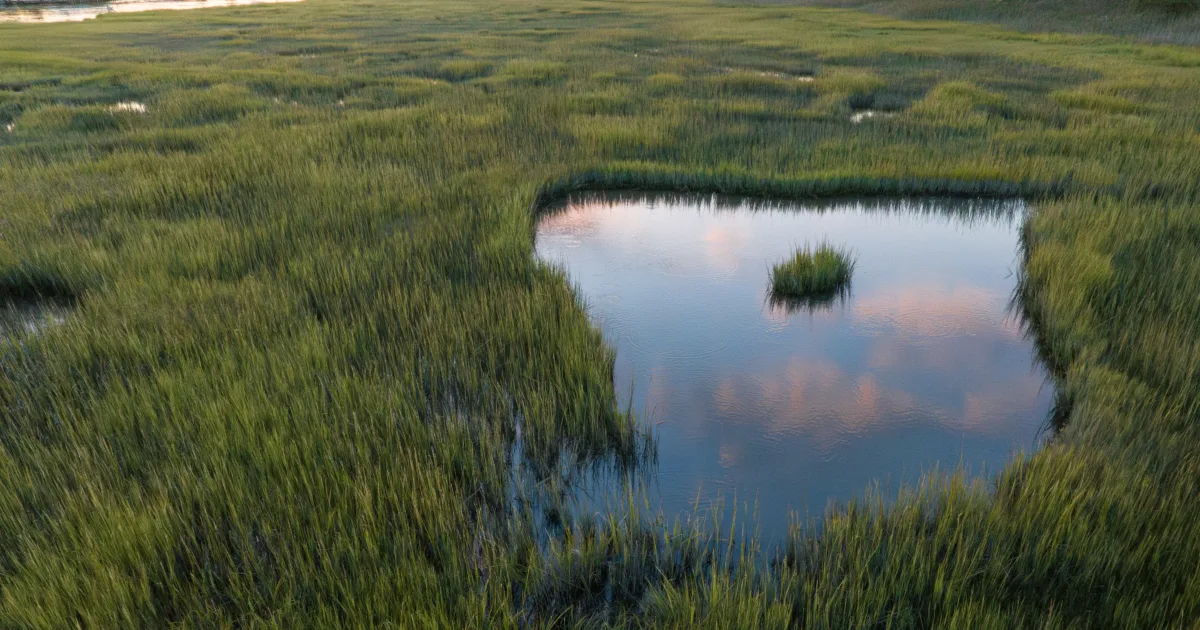 National Aquarium - Wallpaper Wednesdays: East Coast Eventide