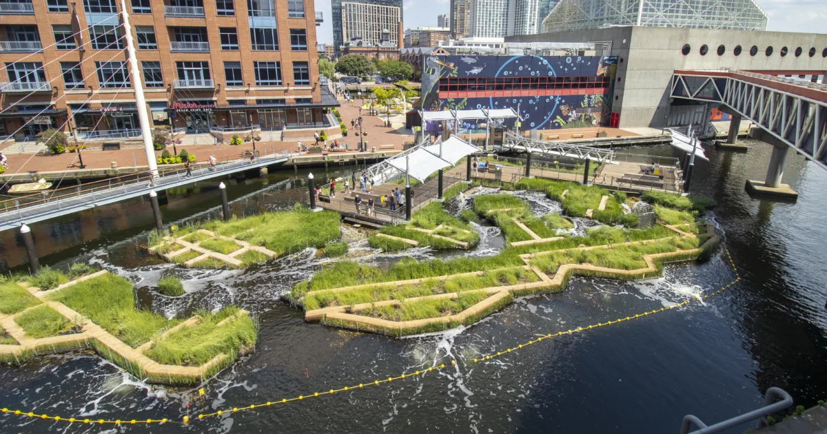Baltimore Aquarium National Aquarium In Baltimore: Tips, Tours, And