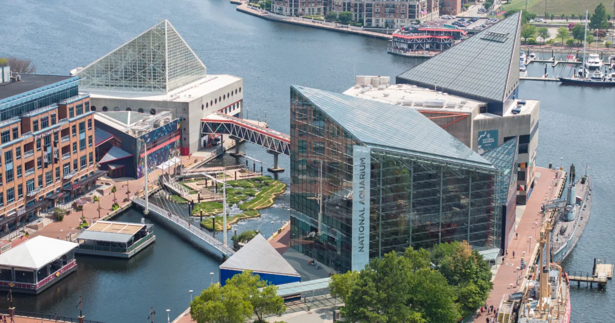 National Aquarium - Harbor Wetland: Your Questions Answered