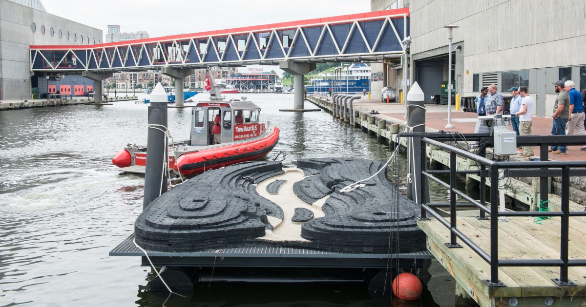 National Aquarium - Harbor Happenings: New Floating Wetland