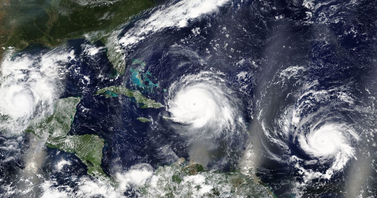 National Aquarium - Weathering the Storm