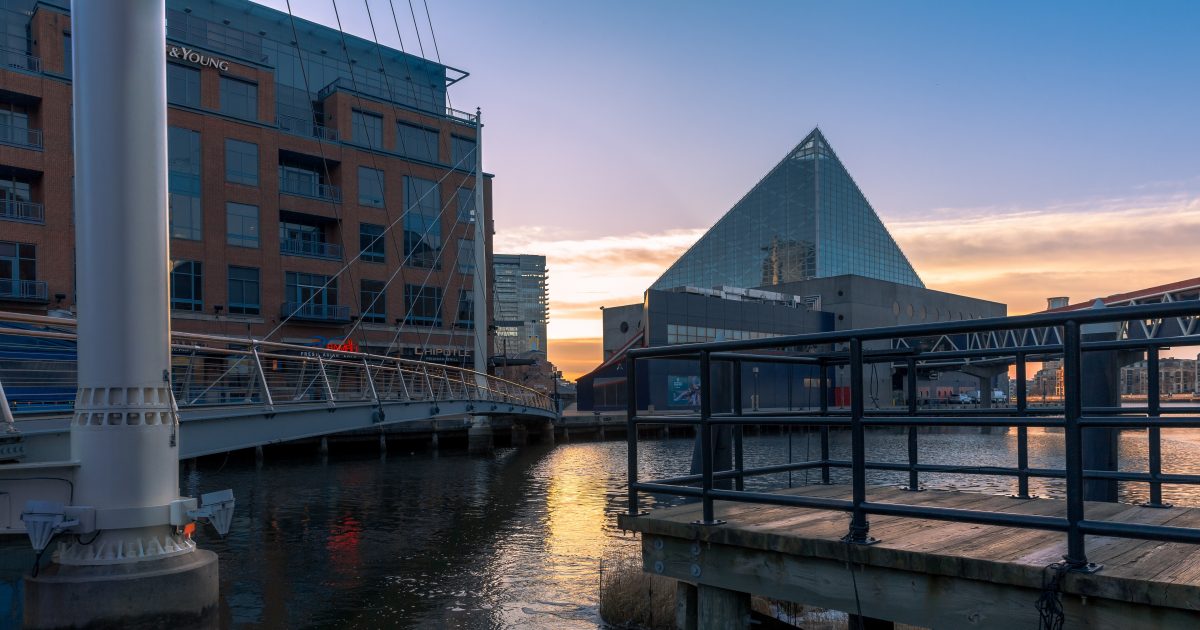 National Aquarium - Harbor Happenings: Artificial Oyster Reef