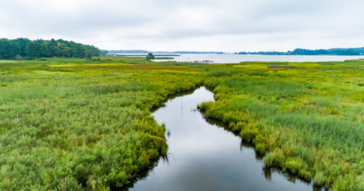 National Aquarium - Environmental Responsibility