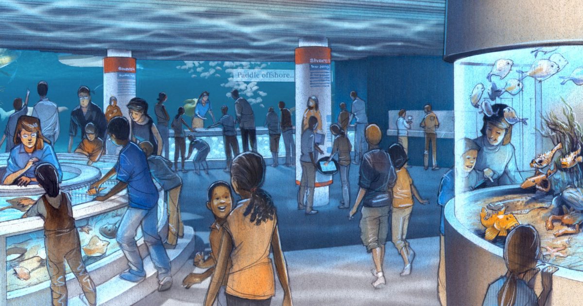 National Aquarium - Living Seashore Exhibit Coming in 2015!