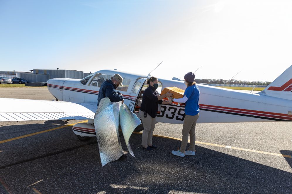 National Aquarium - What is Cold Stunning?