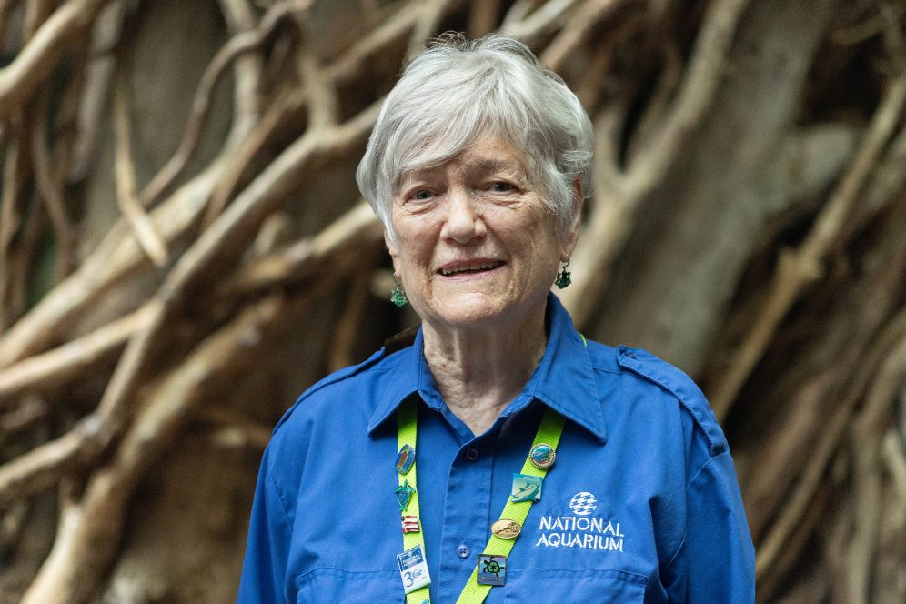 National Aquarium - 12,579 Volunteer Hours and Counting