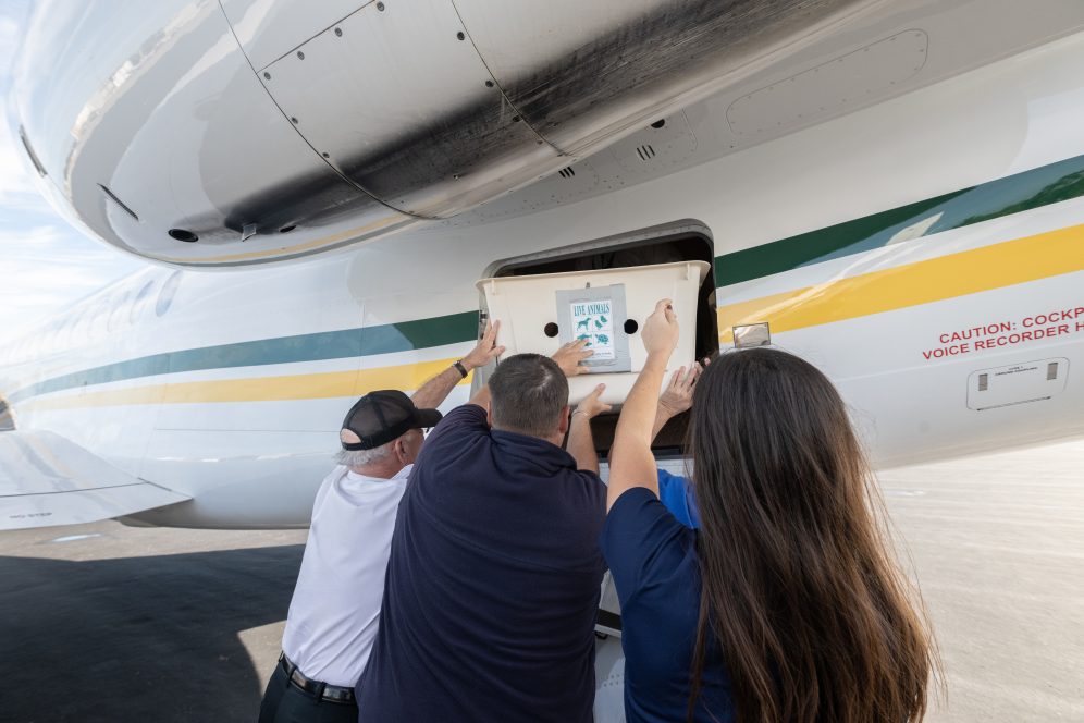 National Aquarium - The Turtle Has Landed