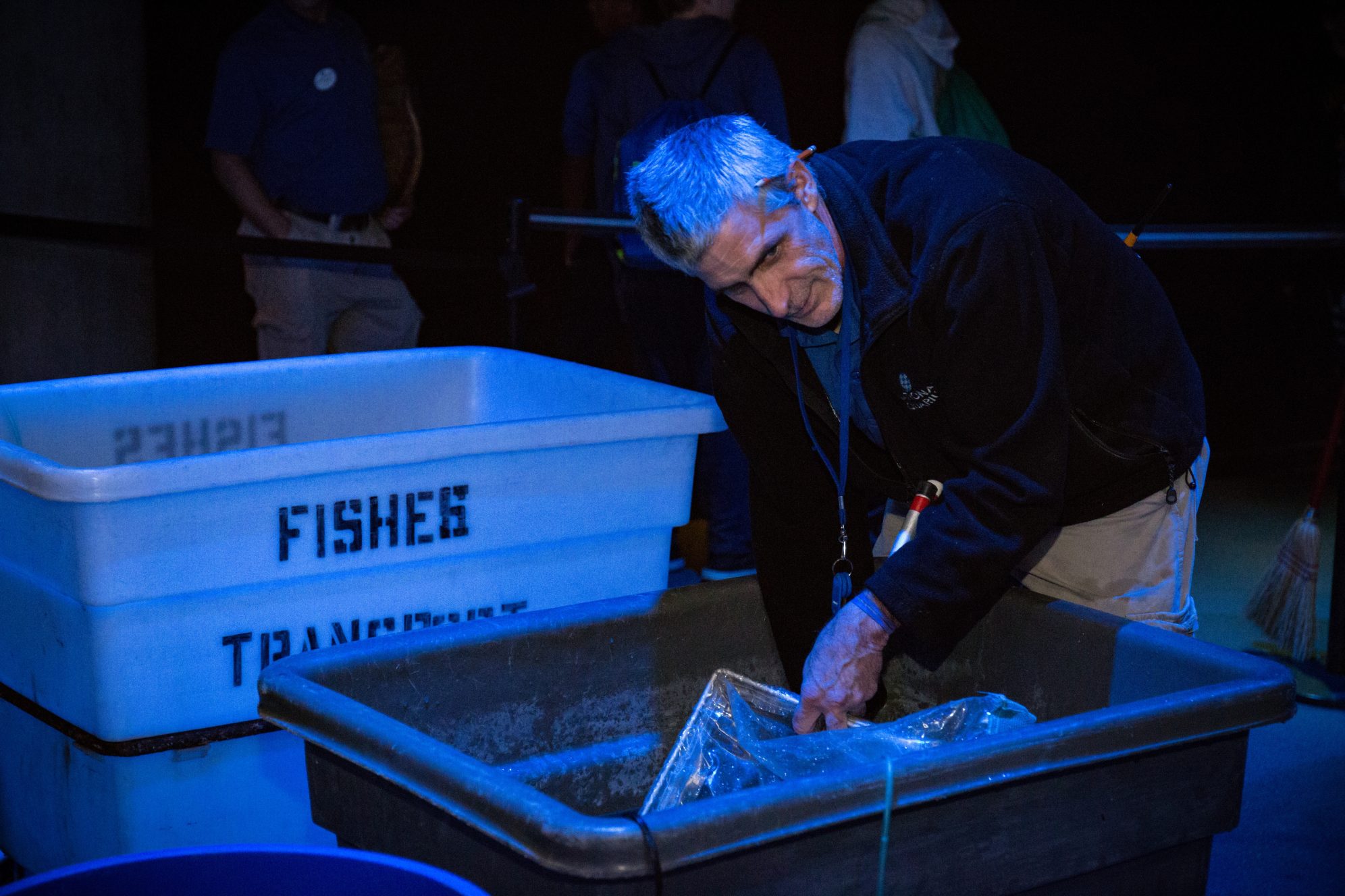 National Aquarium - Celebrating Sawfish