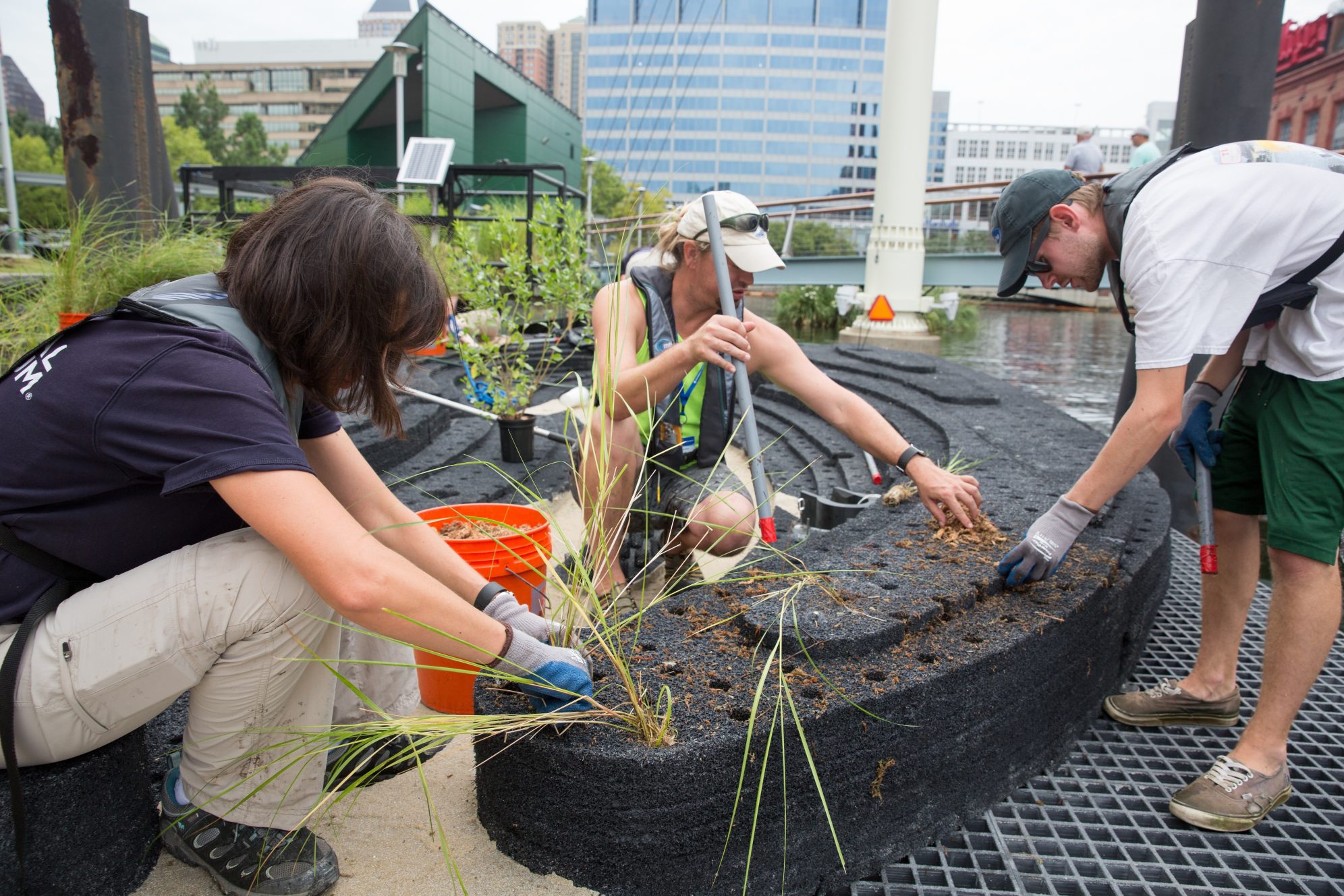National Aquarium - Harbor Happenings: New Floating Wetland