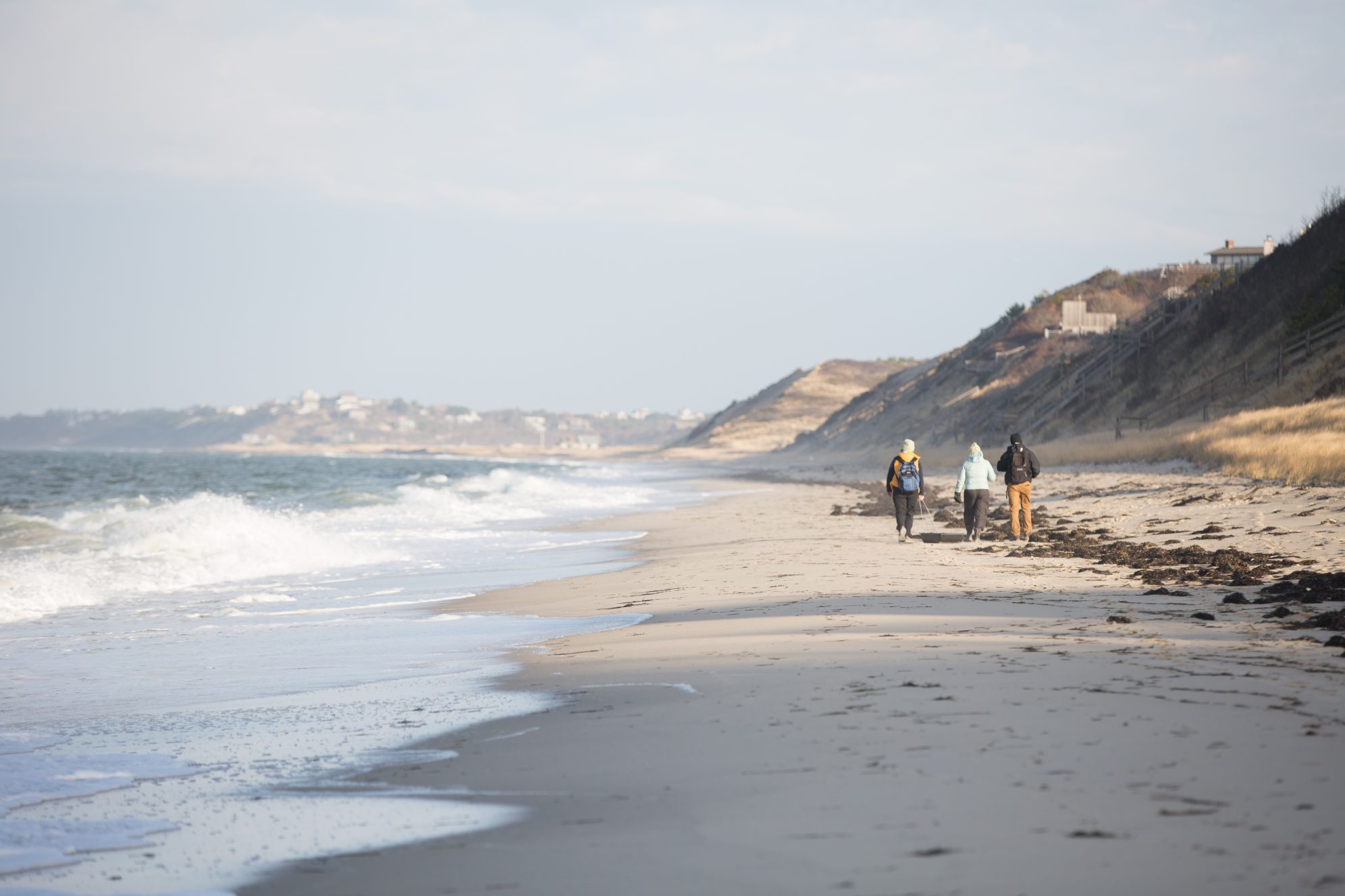 National Aquarium - What is Cold Stunning?