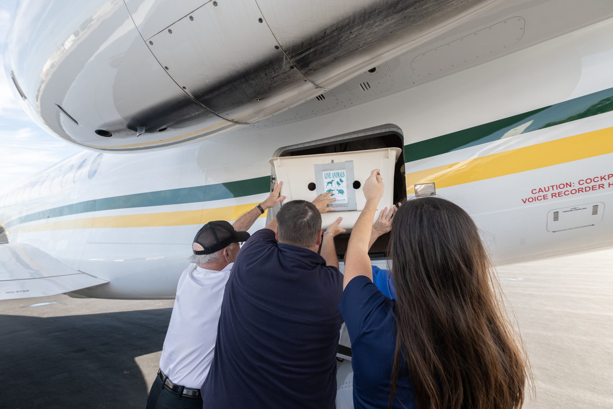 National Aquarium - The Turtle Has Landed
