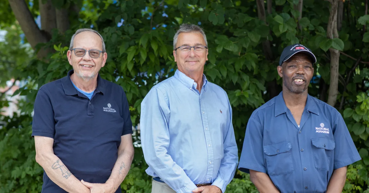 National Aquarium - Three Careers, Four Decades