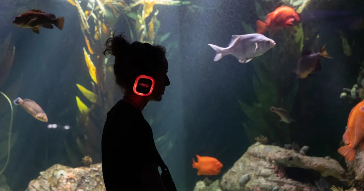 National Aquarium - Embarking on an Epic Voyage