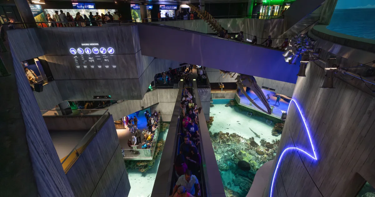 National Aquarium - Quiz: Which Aquarium Exhibit Are You?