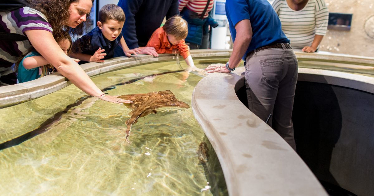 National Aquarium - Living Seashore Awarded for Visitor Engagement